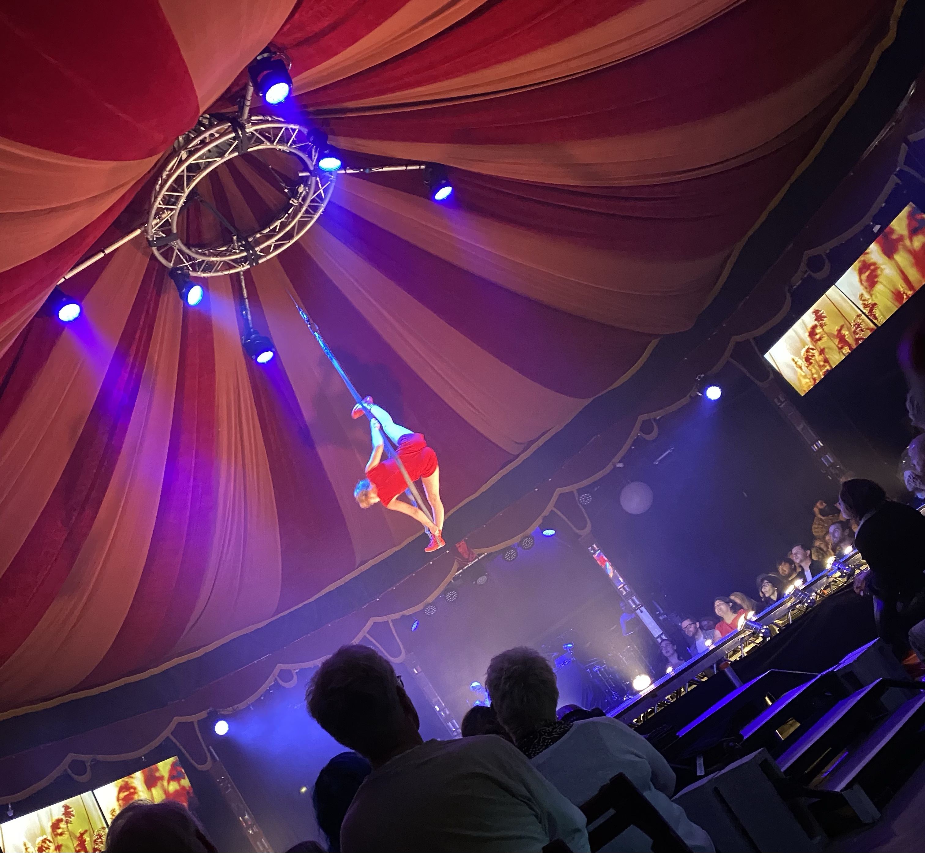 Back In The Crowd – Barbu NNFestival – Wheelescapades